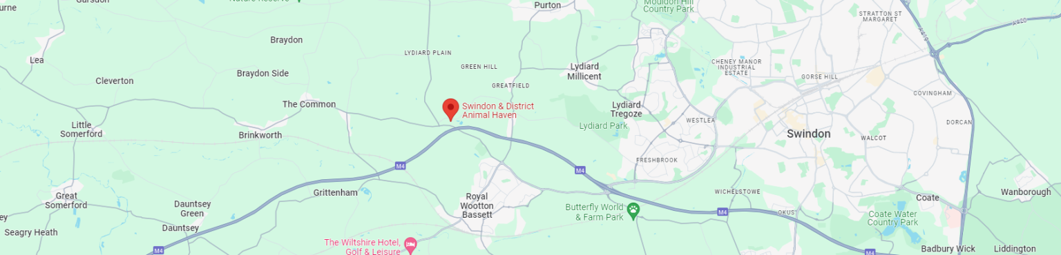 Contact – Swindon & District Animal Haven